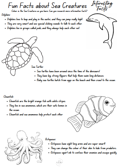 4-6 year olds Under the Sea Themed Booklet - Digital – At Home ...